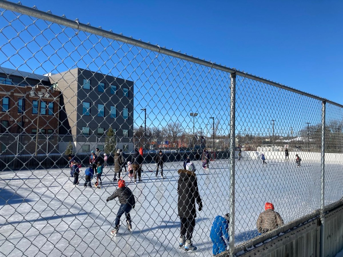 Rink Crew Call! – City Park Community Association